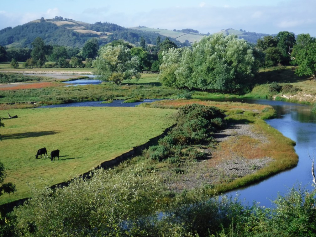 Integrating Landscape with Built Environment and Spatial Regeneration ...
