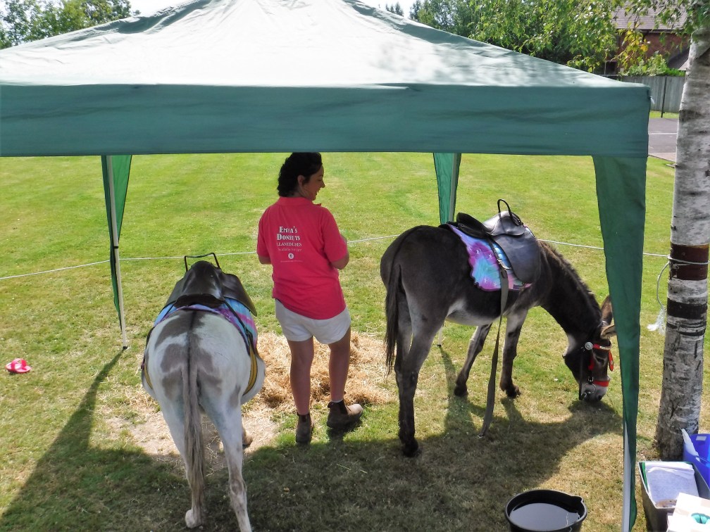 Managing Equids for Conservation: Natural History and Equestrian ...