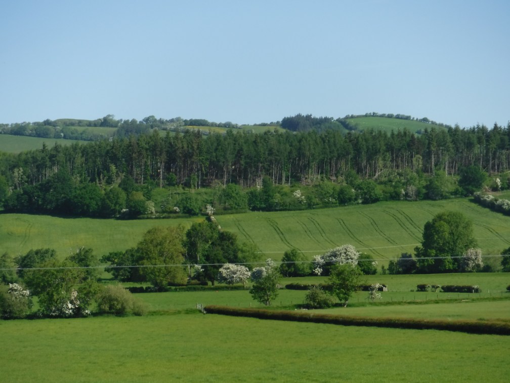 Tudor Royal Horse Studs of Montgomeryshire: The Story Concludes (for ...